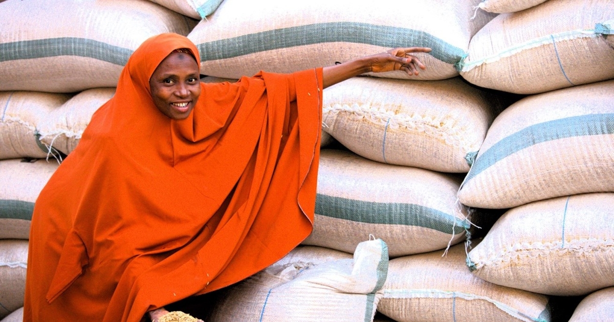 A Flourishing Harvest: How Laraba Muhammad Beat the Pests and Boosted ...